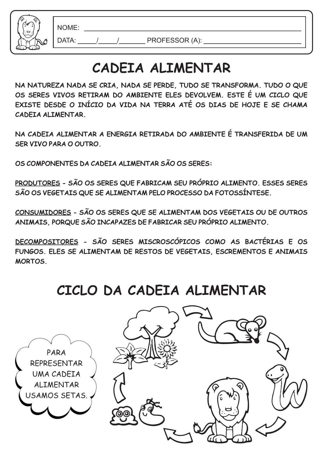 Blog Educação E Transformação 👍cadeia Alimentar