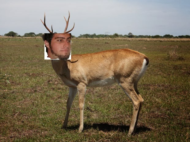 mohha: ELE É VIADO MAS É MEU AMIGO!