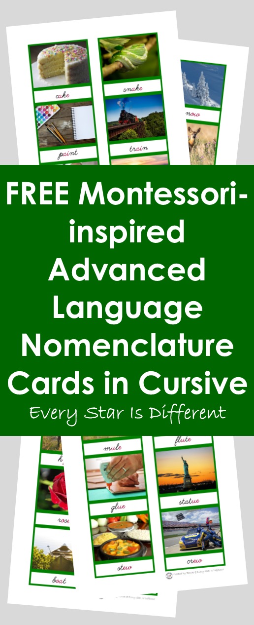 Free Montessori Green Series/Advanced Language Nomenclature Cards in ...