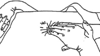 Palpación bimanual con manos superpuestas