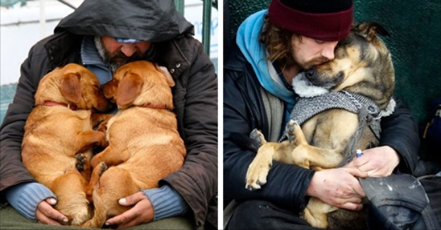 White Wolf : Dog's Love: Beautiful series of pictures showing homeless ...
