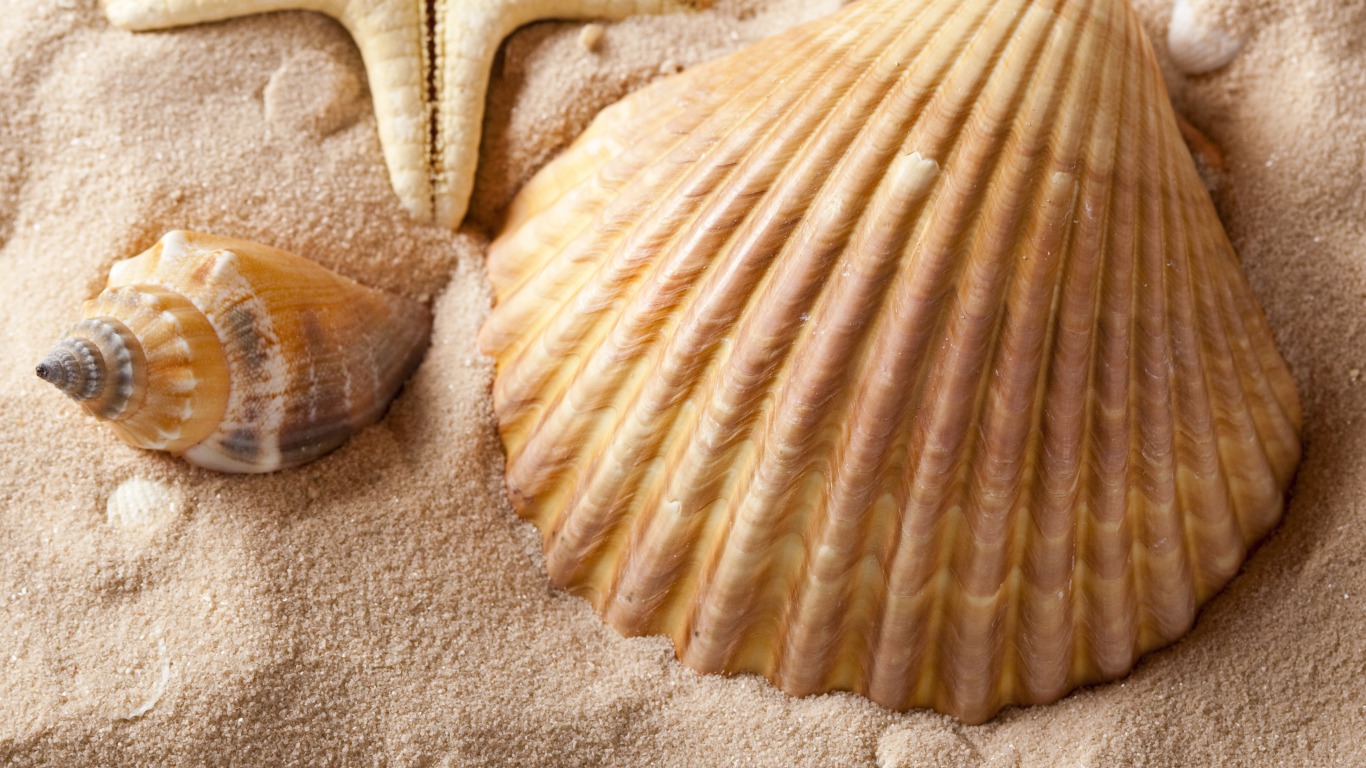 Seashells Wallpaper Collection | Most beautiful places in the world ...