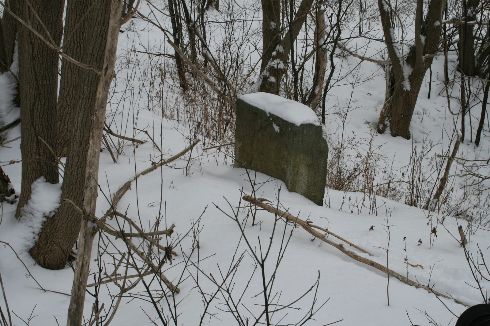 Cayuga County Canal Tours: Enlarged Lock 52