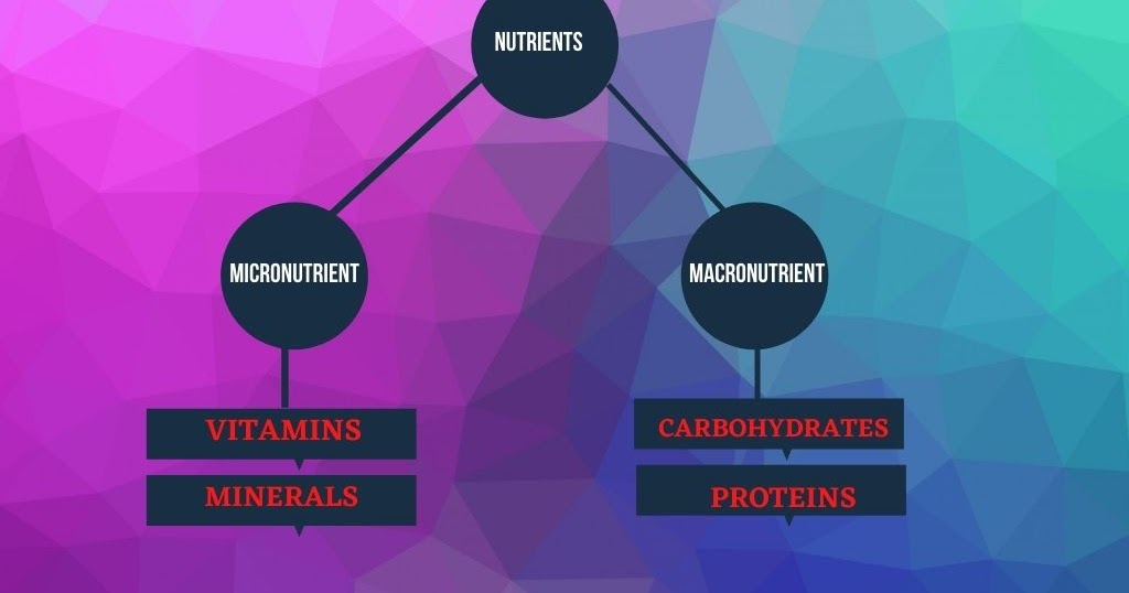 Healthy Lifestyle -- Foodies Corner: 9 ESSENTIAL NUTRIENTS ONE SHOULD ...