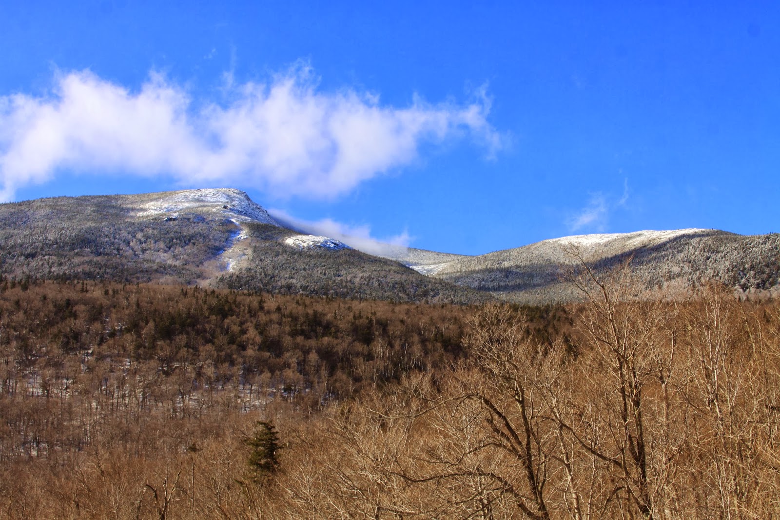 The Presidential Trail - The Scenic Turnout through Pinkham's Notch