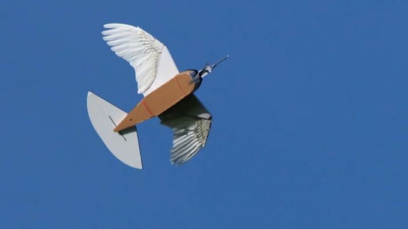 World's First PigeonBot Drone is Ready to Fly Like a Bird