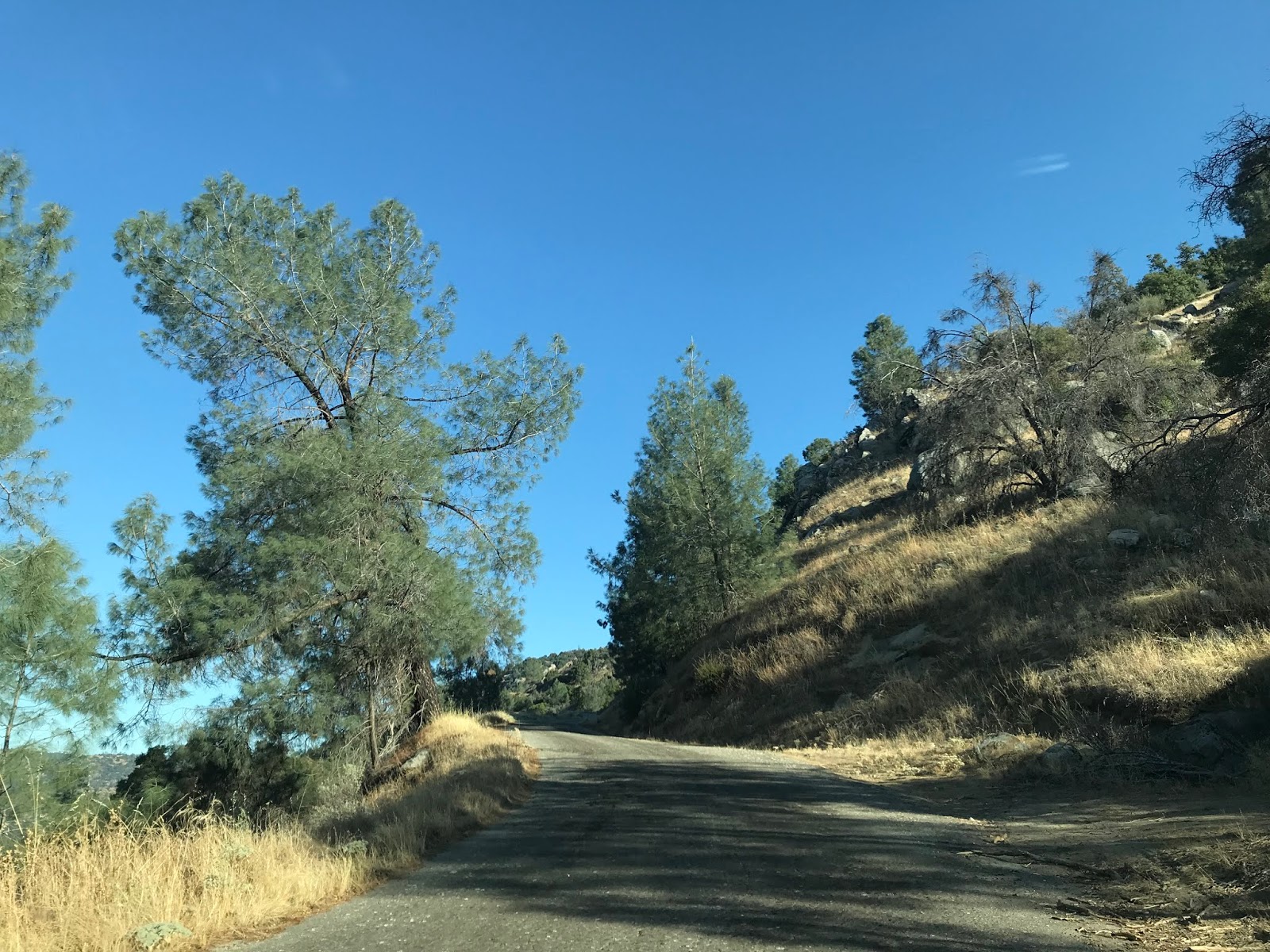 Redinger Lake Road (Road 235)