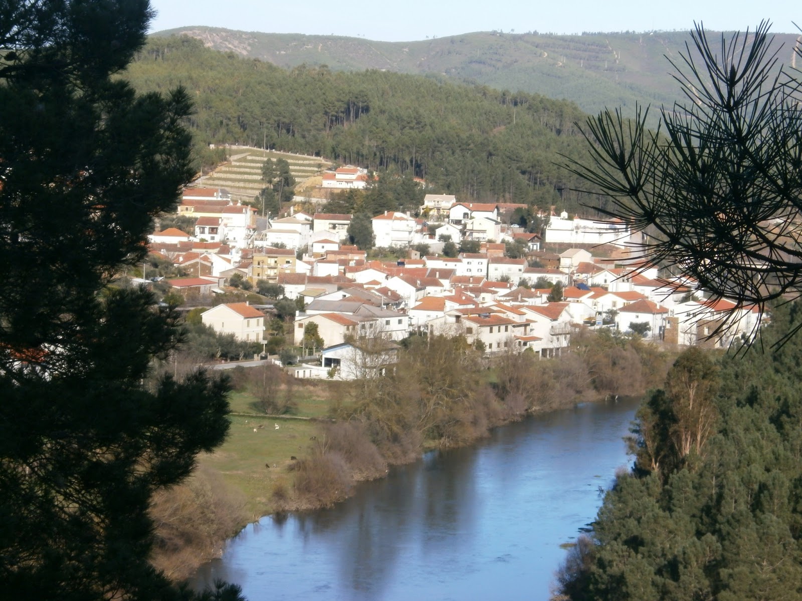 Pedaços da Nossa Terra: Paisagem de Dornelas do Zêzere