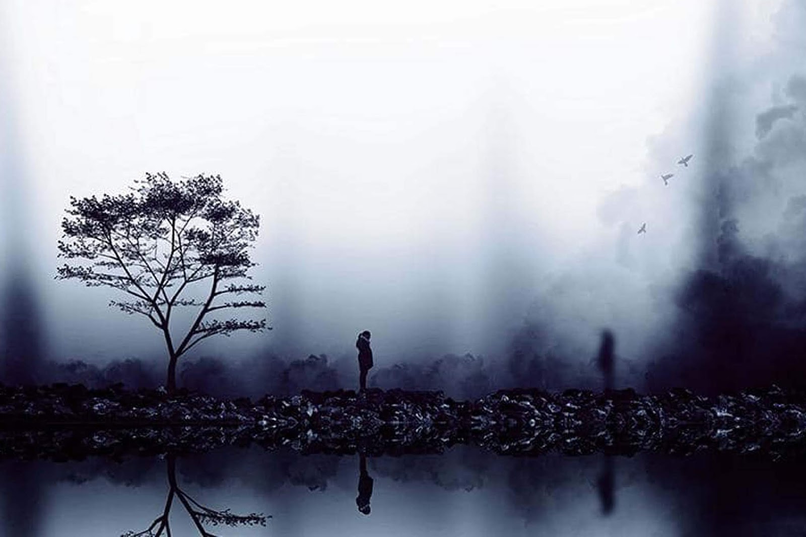 Dans les brumes du temps qui passe...: février 2020