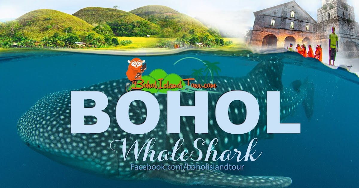 BIT - Bohol Island Tours
