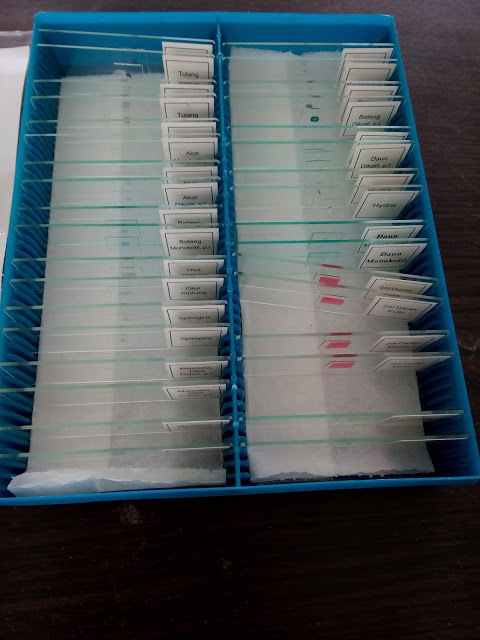 PIRANTI PREPARAT | Laboratorium IPA Terpadu