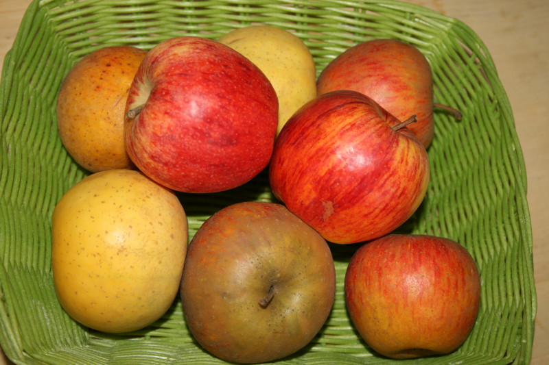 Godt og Sunt: Kjemperask Epledessert