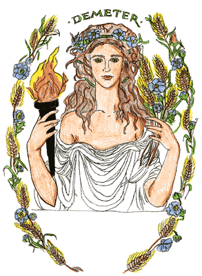 Lenguaje y lectura crítica - IFC: agosto 2017