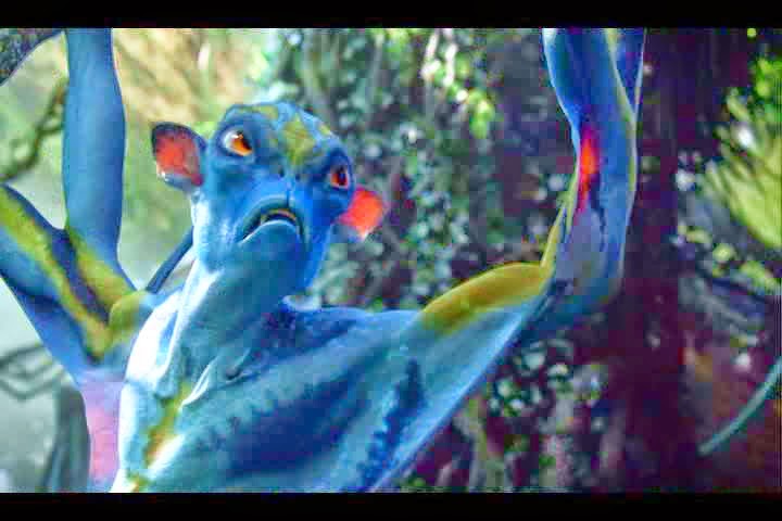 Miblogs: El prolemuris: avatar gif 40