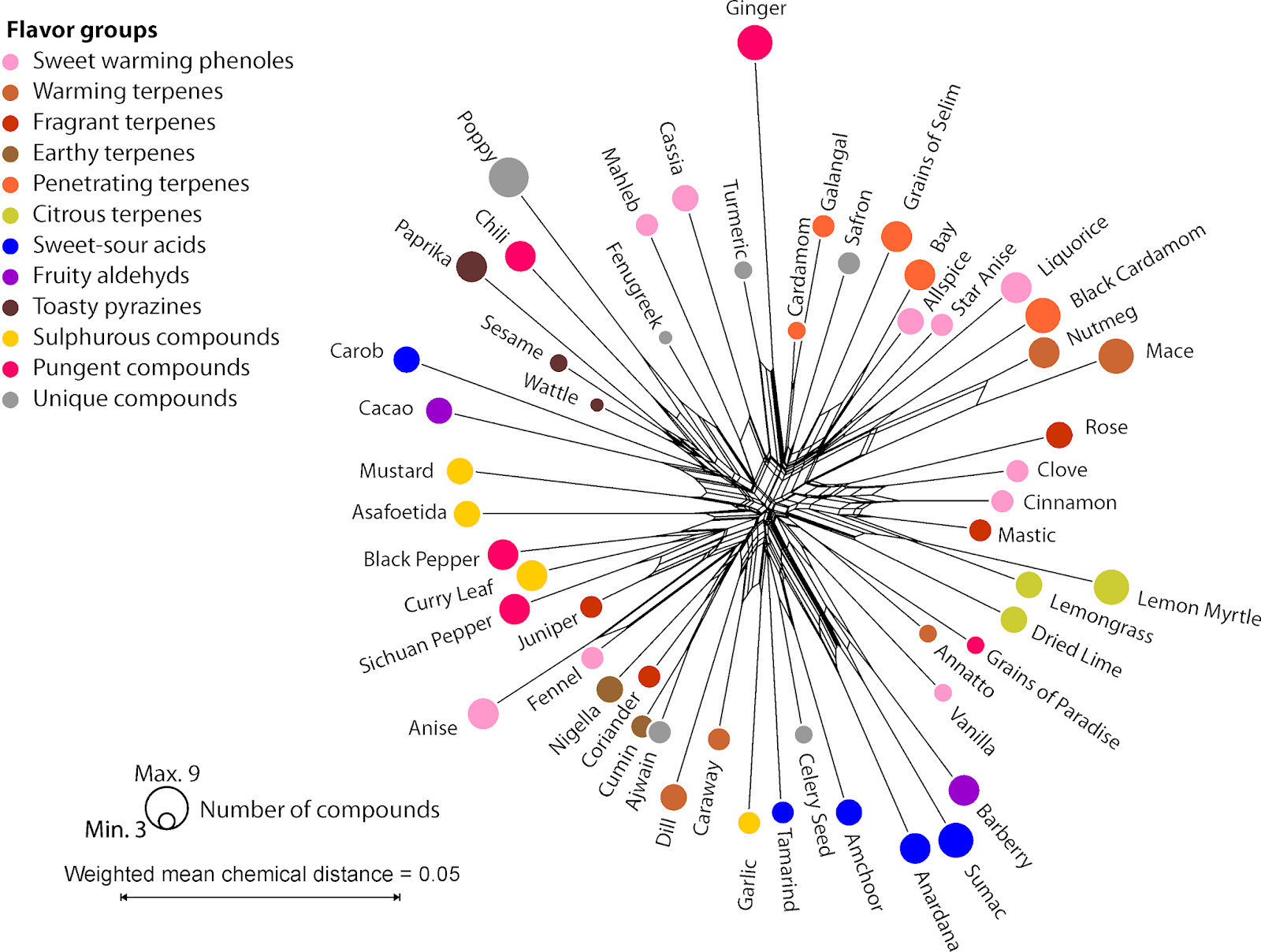 The Genealogical World of Phylogenetic Networks: The Science of Spice ...