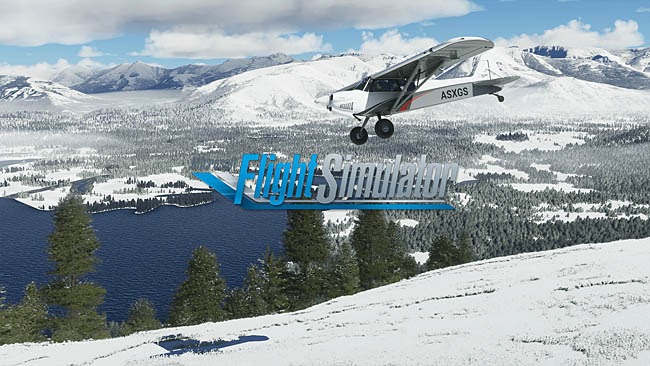 FlySim&Real: FS 2020: Note di rilascio versione 1.12.13.0