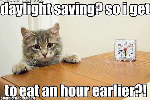 JustaCarGal: Daylight Savings Time Humor