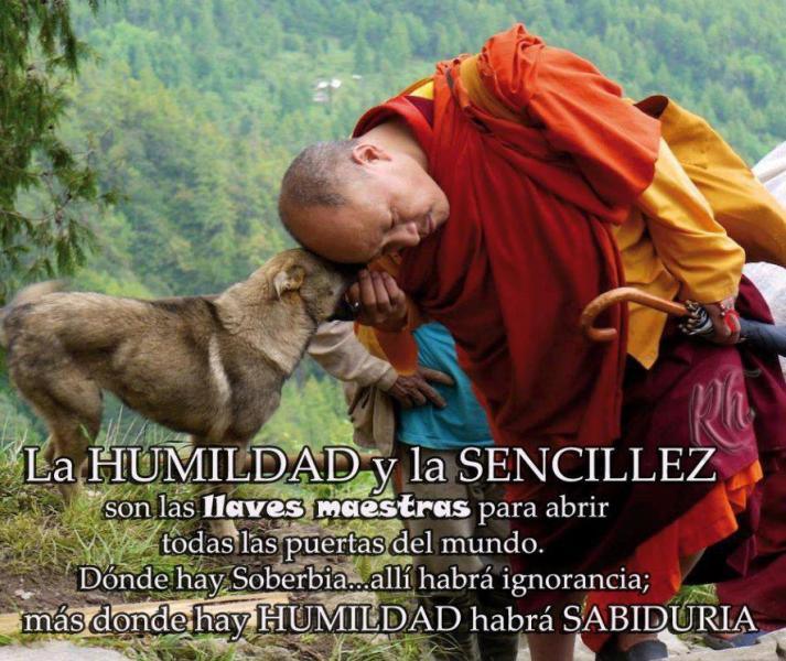 ¡Por todos los Santos!, .... ,¿PLAGIO?: La humildad...