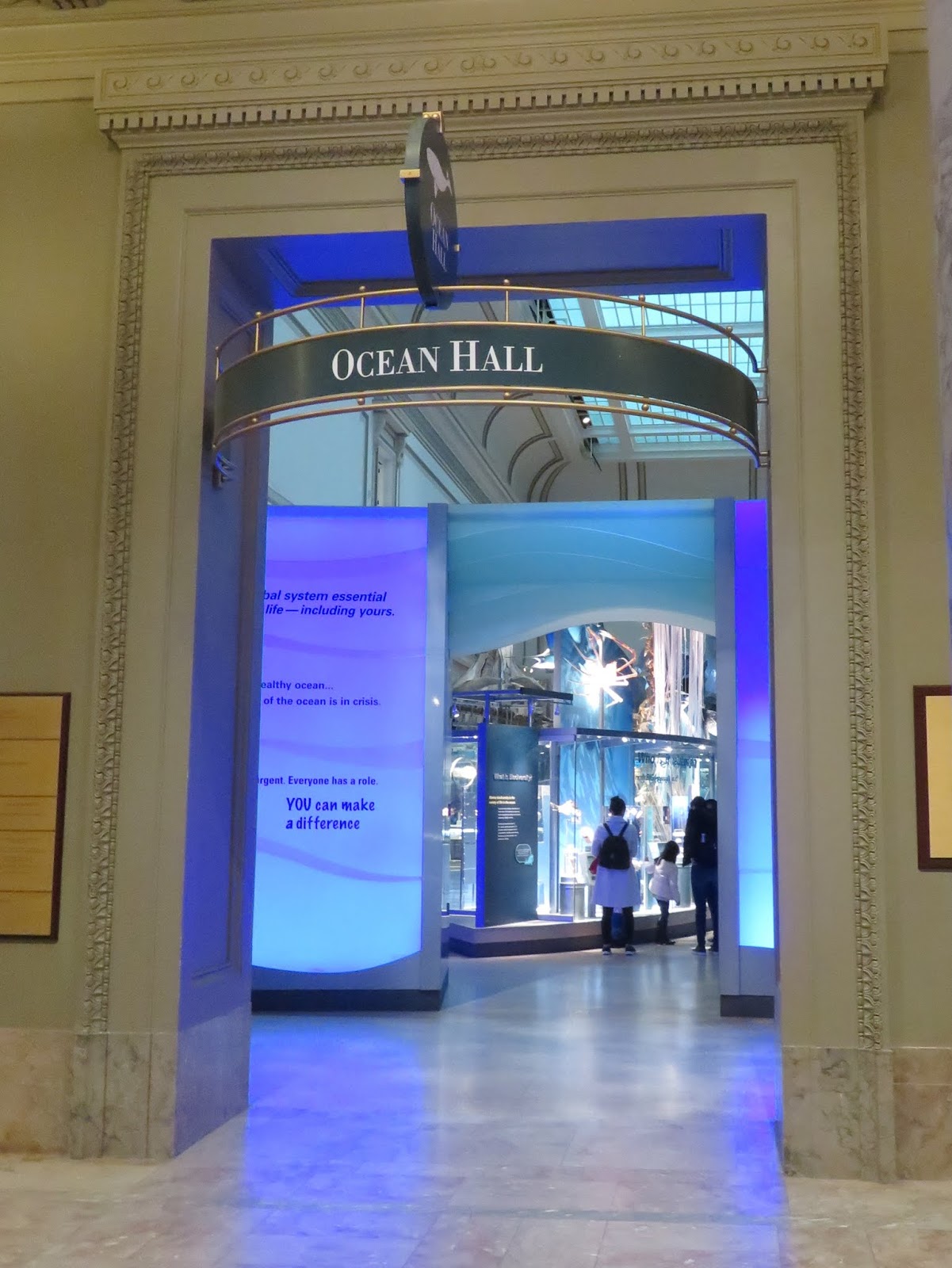 Randuwa II: The National Museum of Natural History: The Sant Ocean Hall