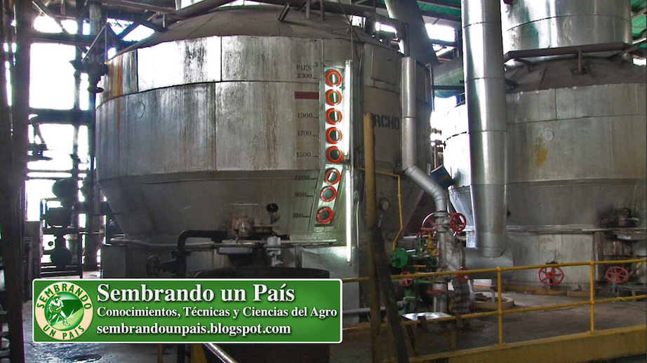 CVA Azúcar (Agricultura y Procesamiento Industrial de la Caña de Azúcar)