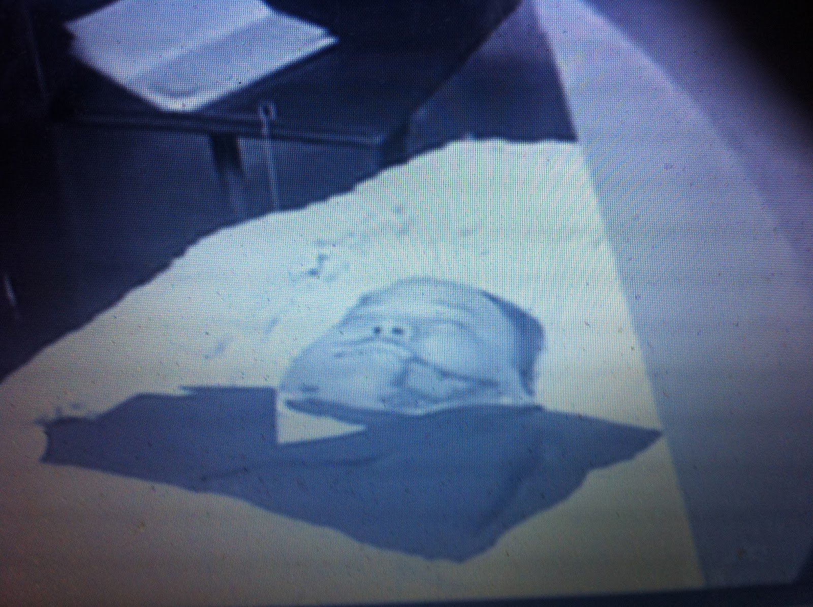 THE BLACK SOCIAL HISTORY:: BLACK SOCIAL HISTORY - AFRICAN AMERICAN ...