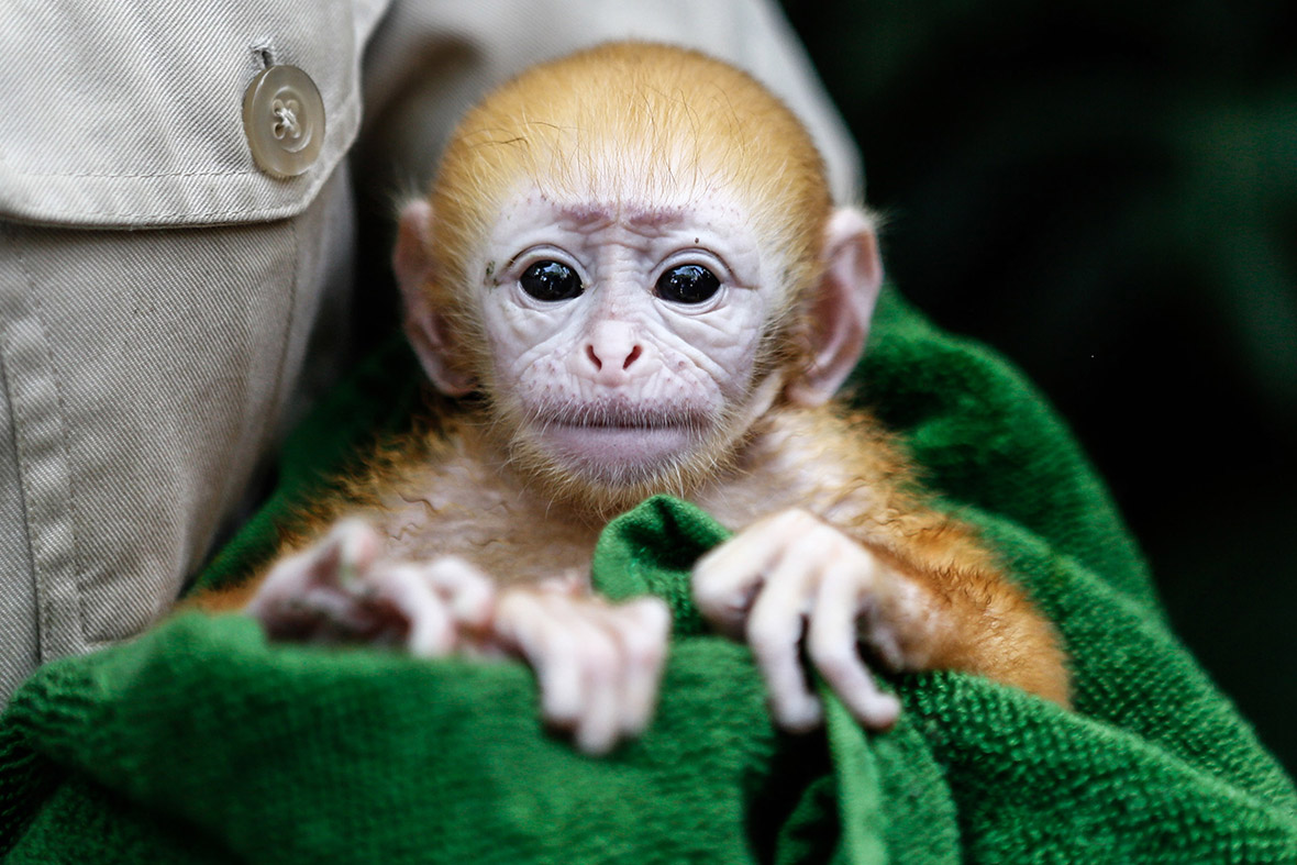 Sparking Snaps | image gallery