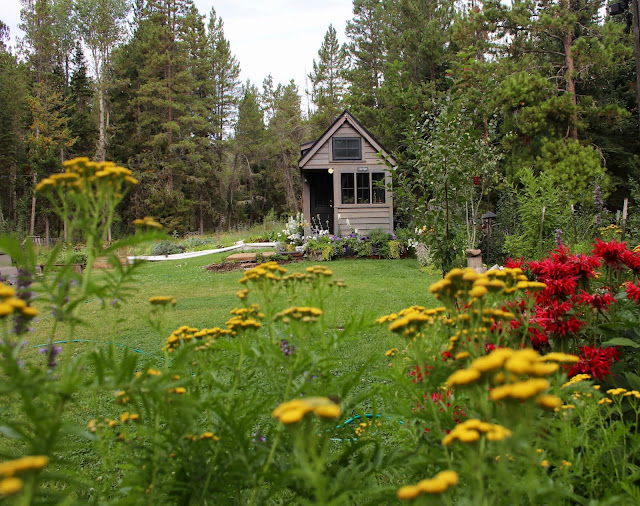 Fy Nyth...: House Photos