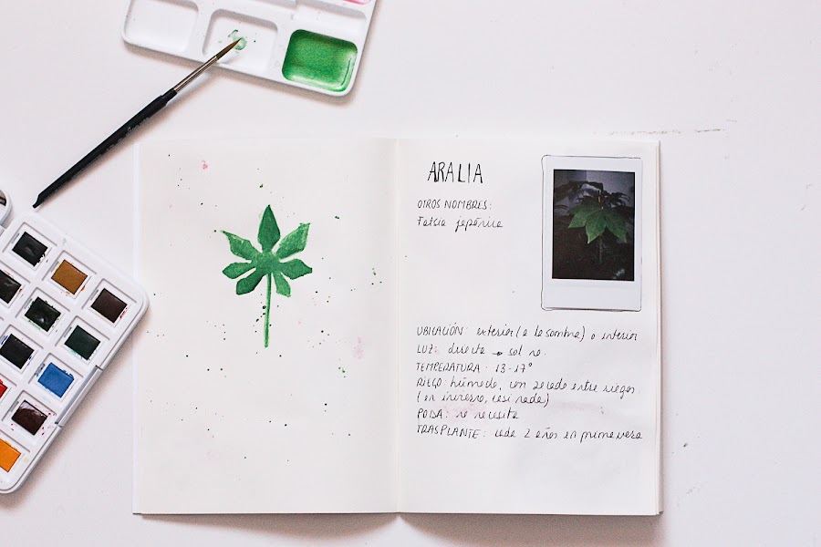 Diario de plantas y cuidados | Plantas