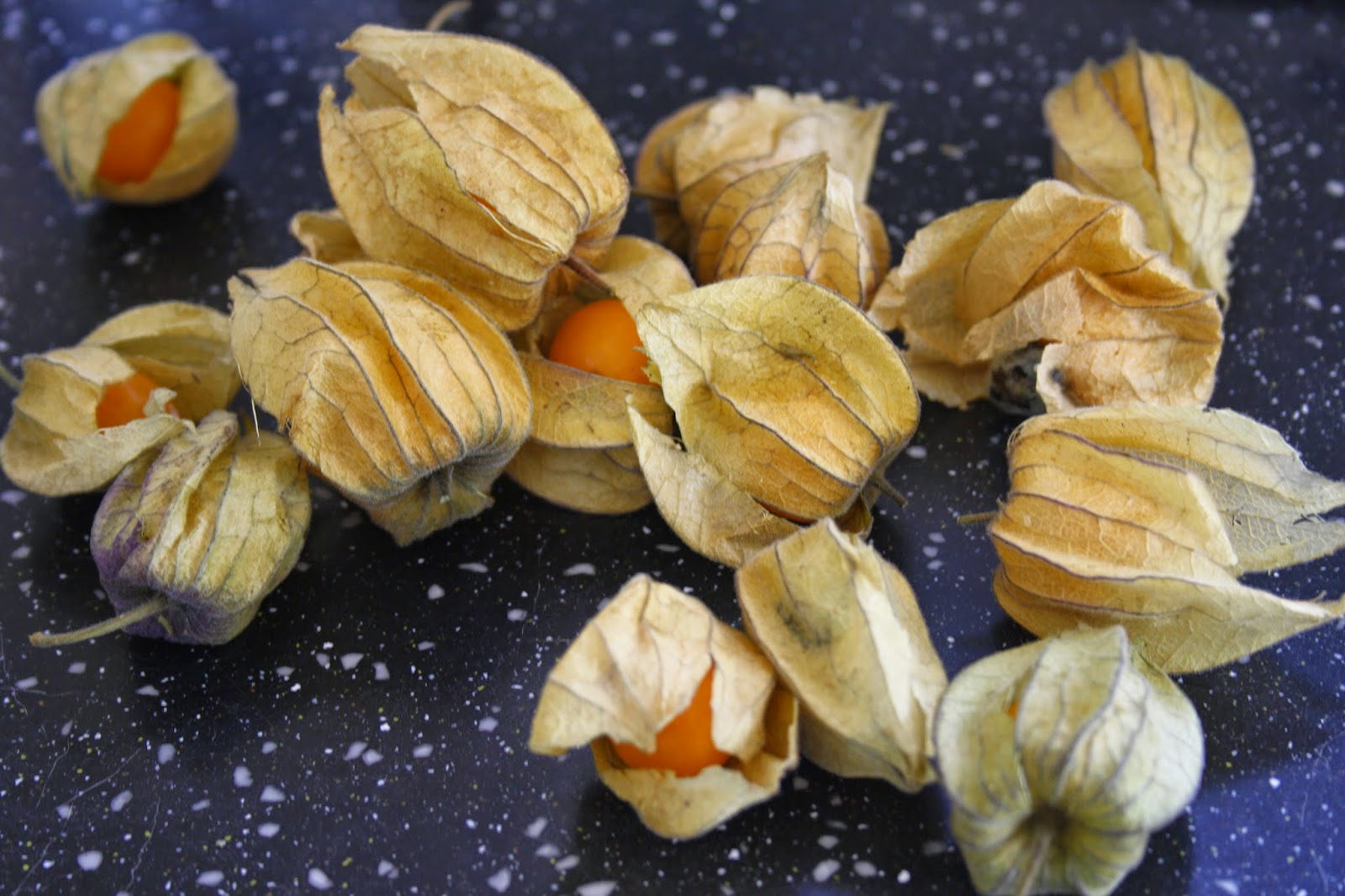Caroline Makes....: Physalis Cake