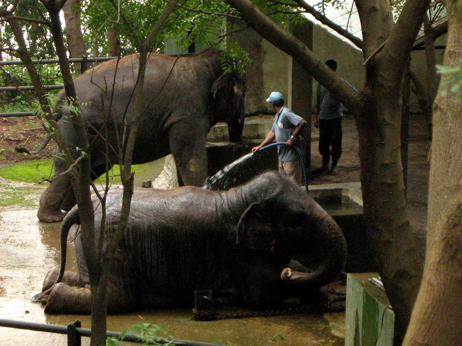 Travelz Unlimited: Rajiv Gandhi Zoological Park, Pune