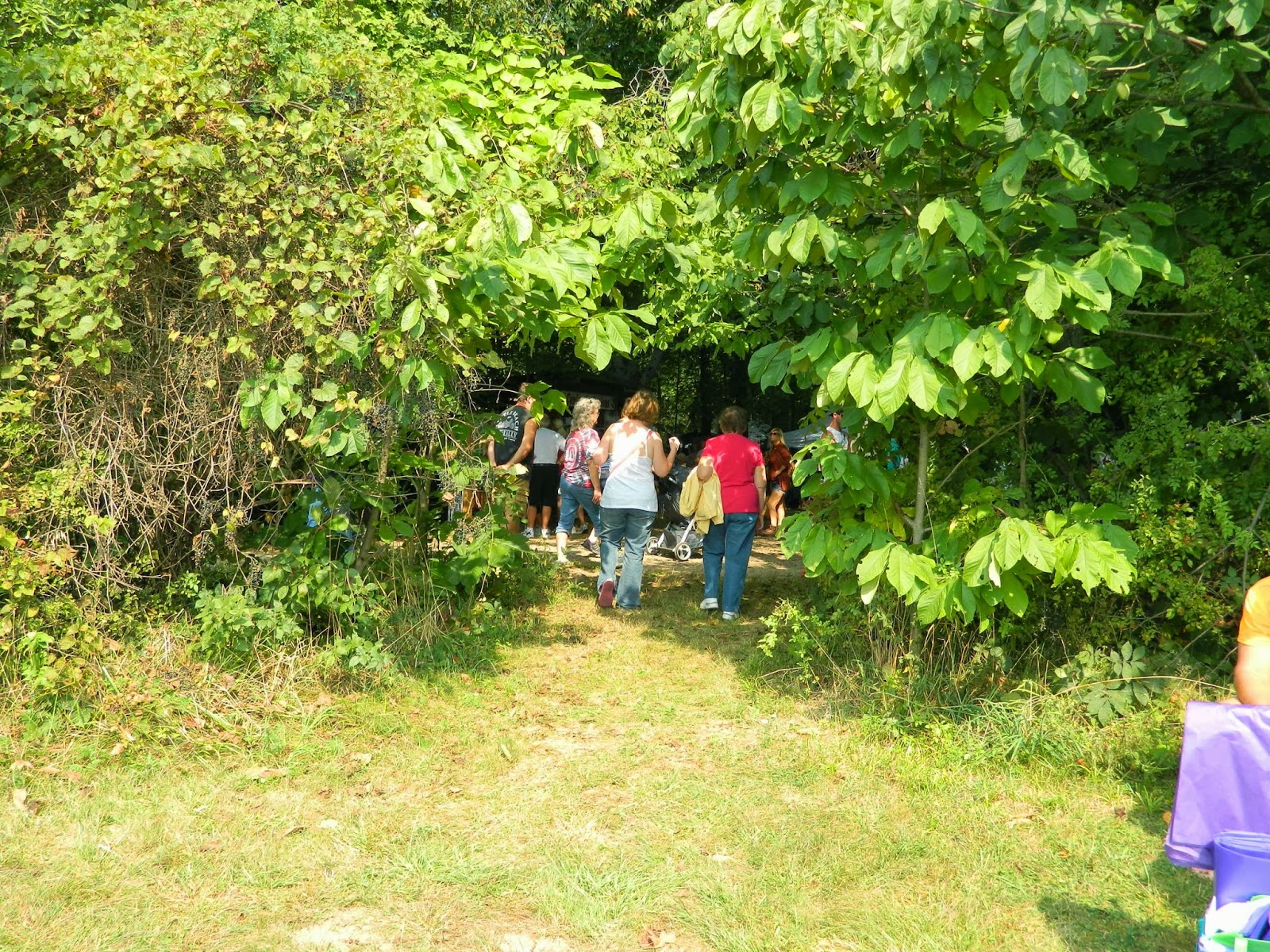 Backwoods Fest - Thornville, Ohio