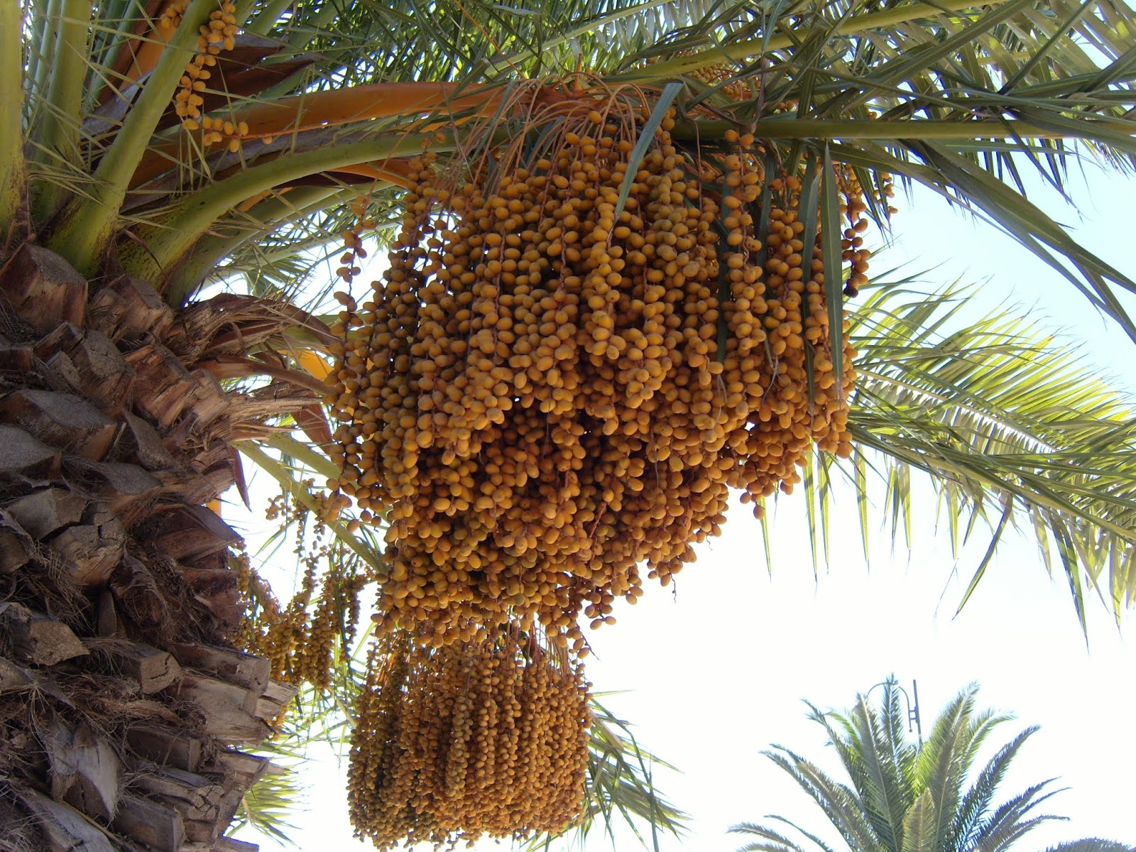 VOYAGE PHOTOS AU MAROC
