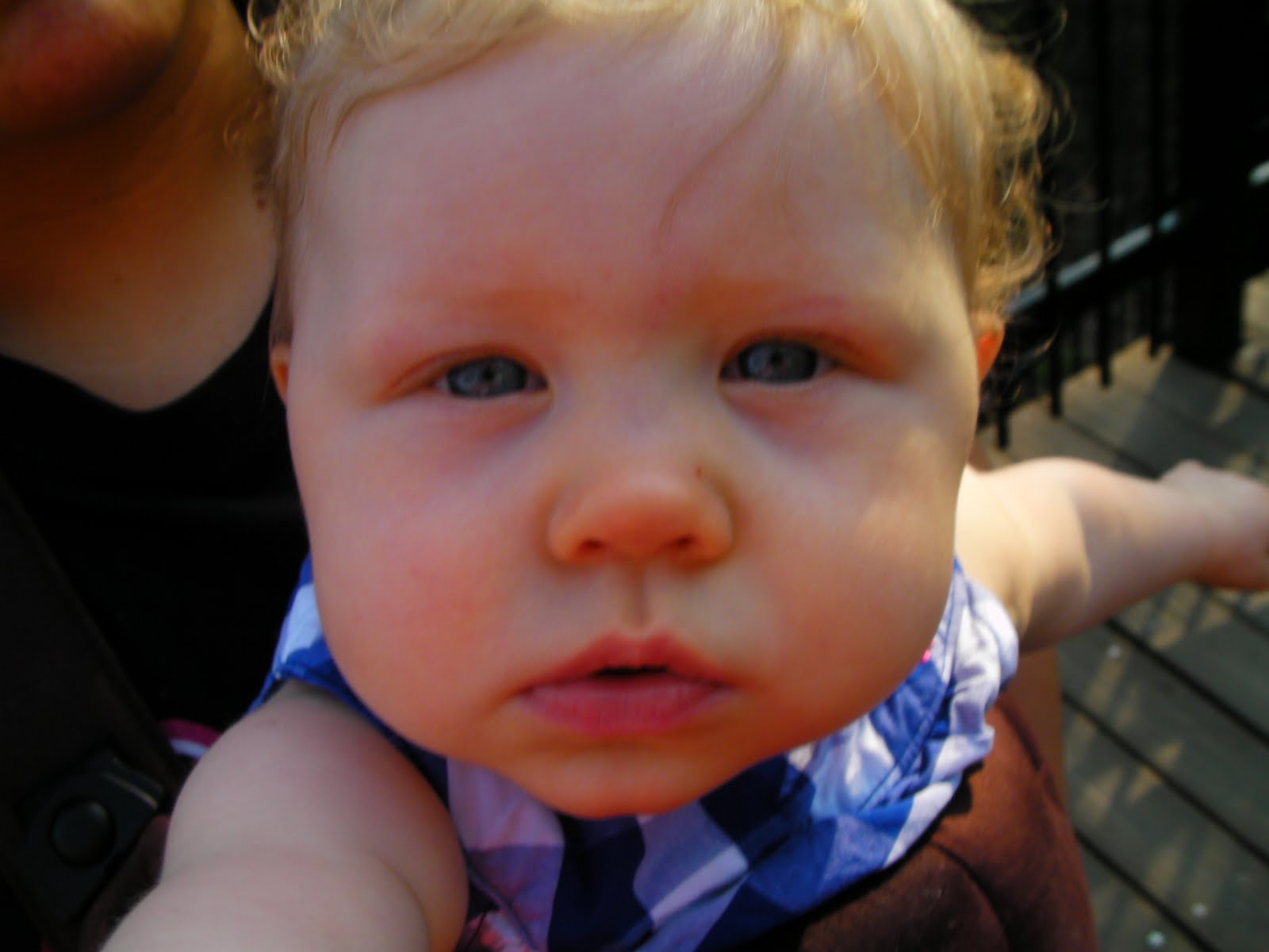 7 month of Life- Lexie Lou is through the first half of her first year ...