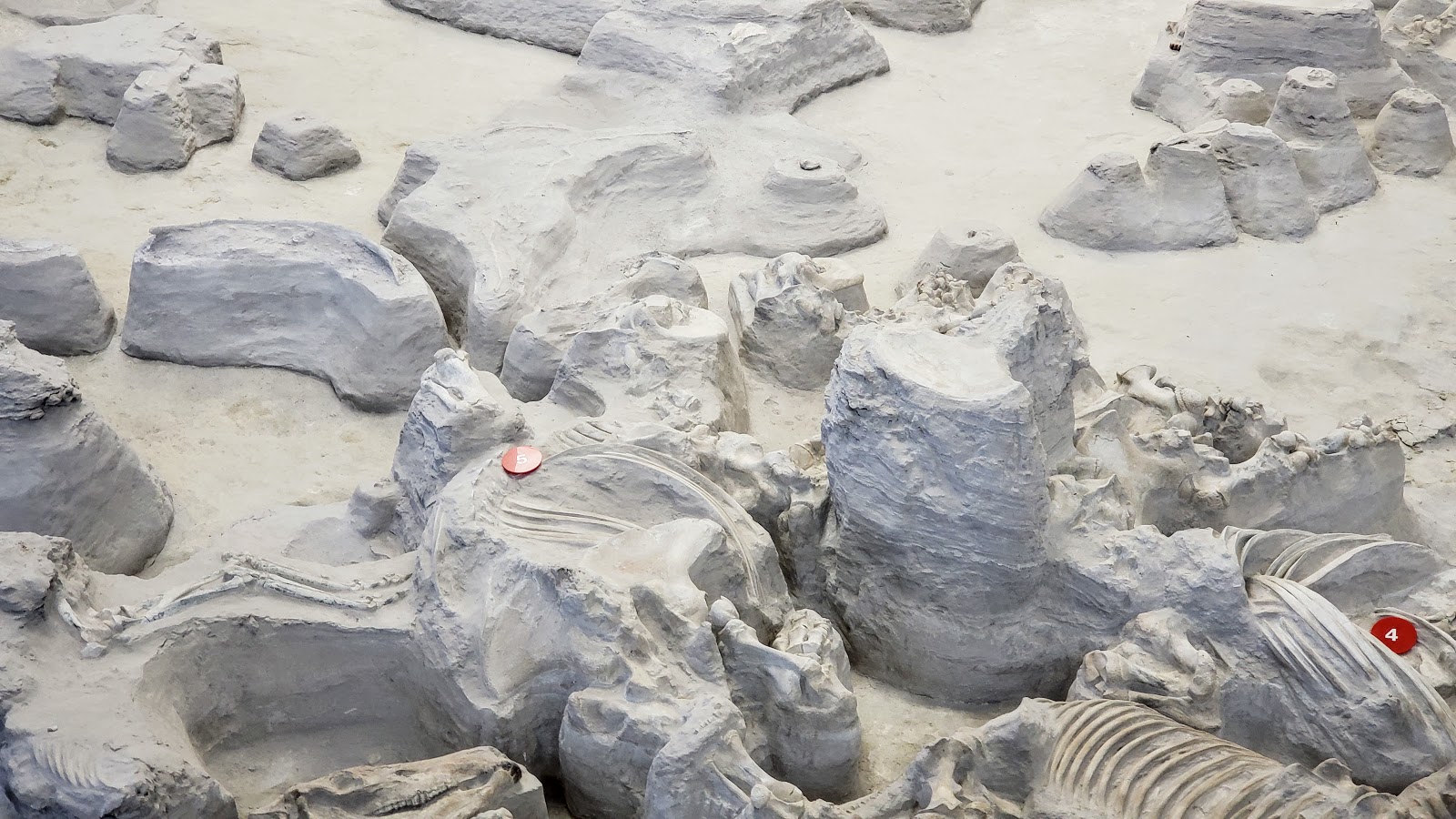 History and Culture by Bicycle: Ashfall Fossil Beds State Historical ...