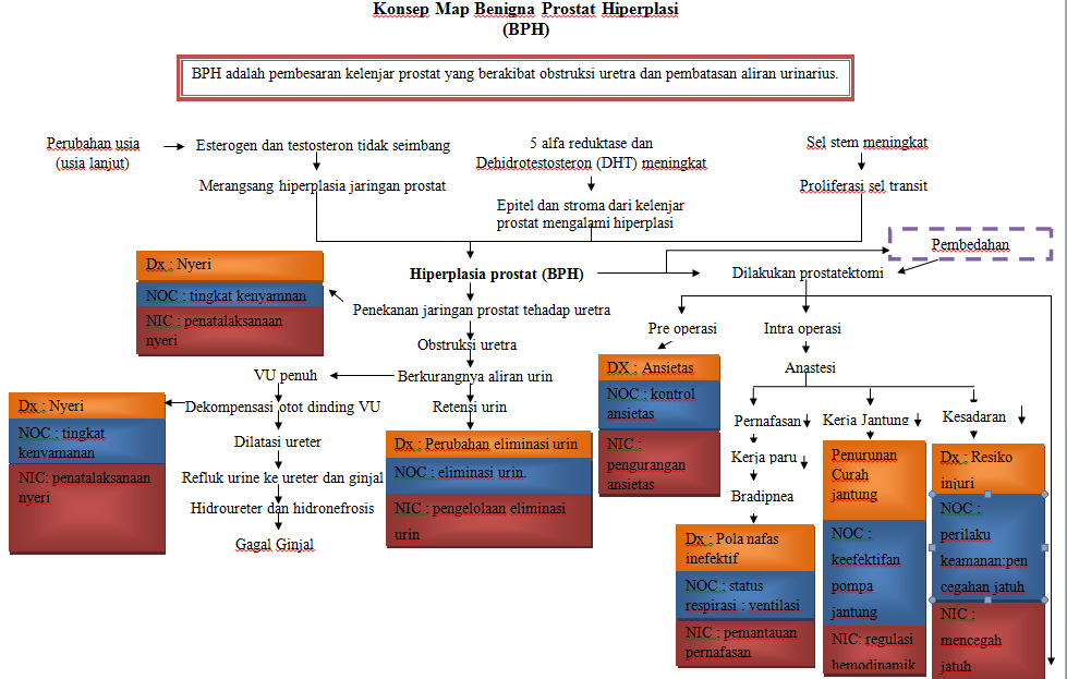 Pathway BPH (BENIGNA PROSTAT HIPERPLASI)