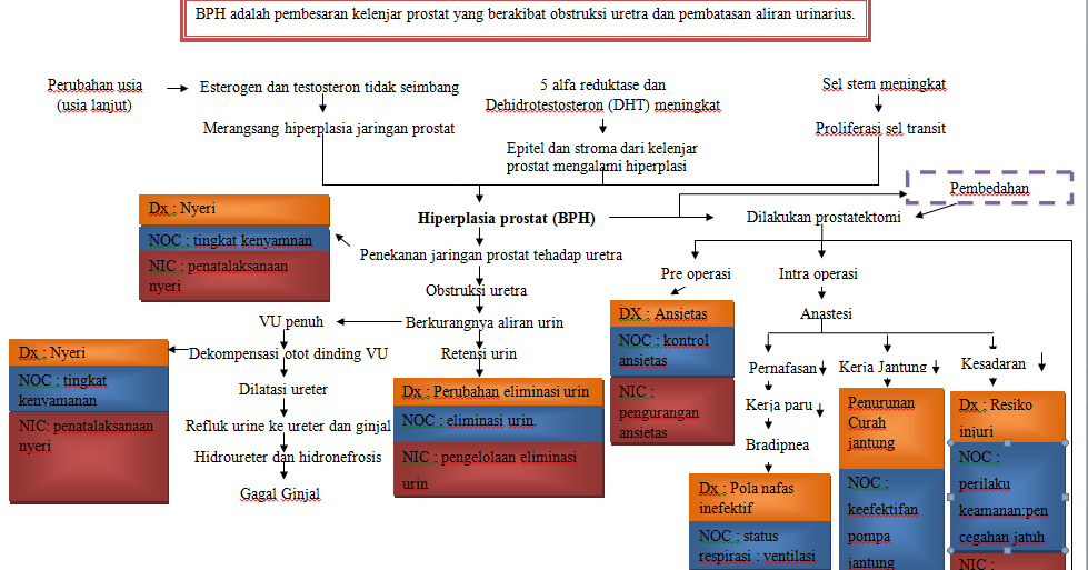 Pathway BPH (BENIGNA PROSTAT HIPERPLASI)