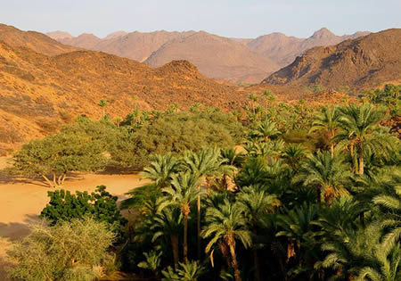 Most Amazing: Timia Oasis (Niger)
