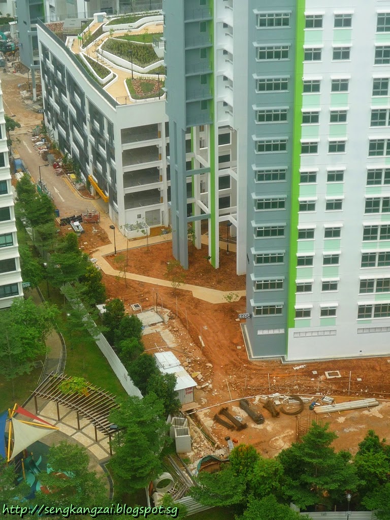 Zai@Sengkang: Fernvale Gardens (Year 2014 Week 25)