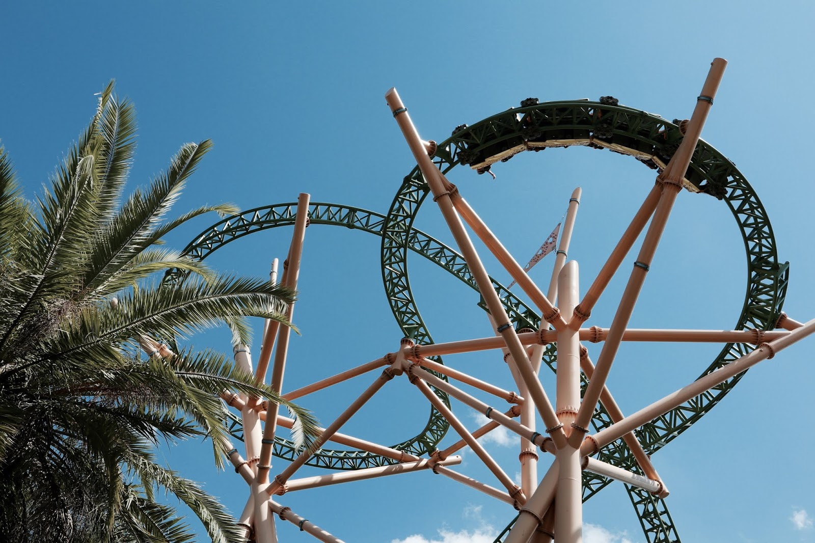 Top 7 Zoo Theme Parks In The World