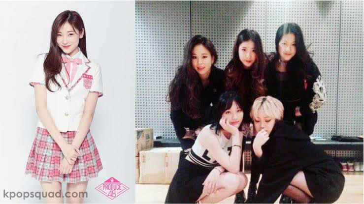 Profil Biodata, Biografi dan Fakta Lengkap PINK PUNK, Sembilan Member ...