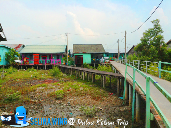 My Sight-seeing to Pulau Ketam - A Trip Day of Crab Island, Malaysia