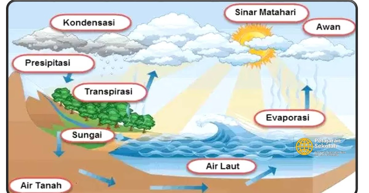 Siklus Air Pengertian Unsur Jenis Amp Fungsinya Lengkap Bahasa - IMAGESEE Siklus Air Pengertian Unsur Jenis Amp Fungsinya Lengkap Bahasa - IMAGESEE