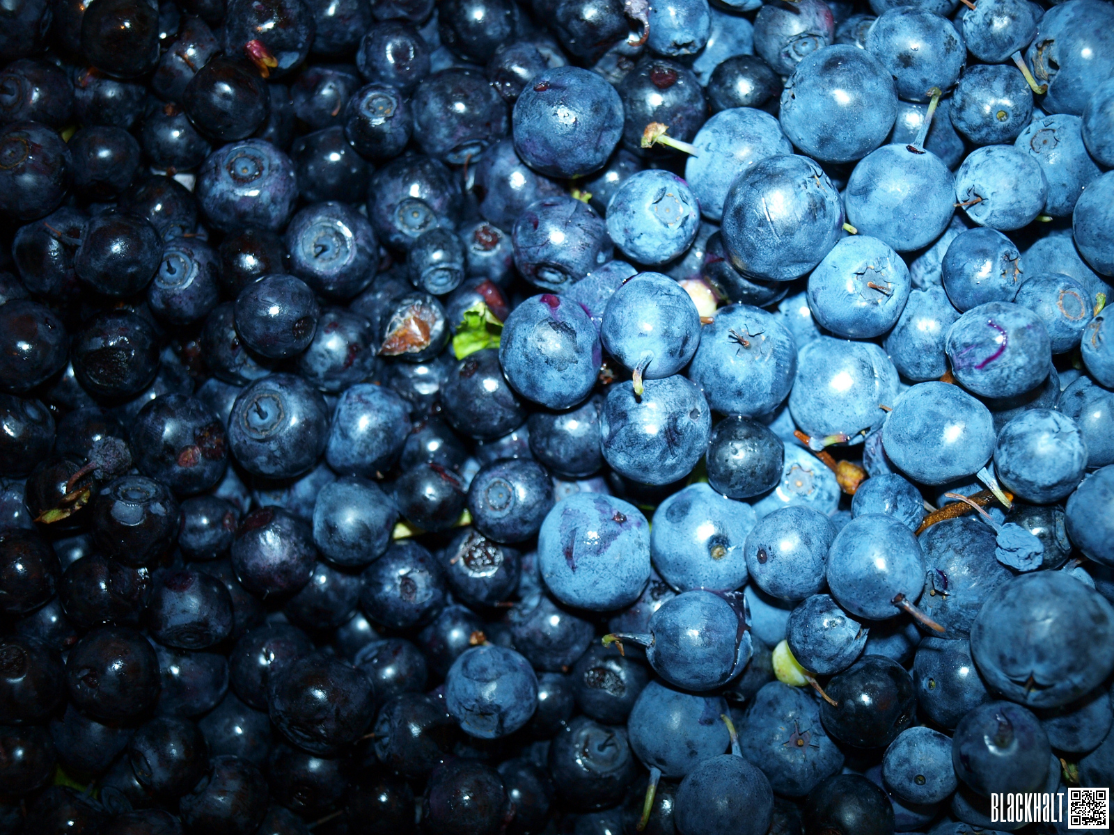 Zilenes un mellenes - PhotoBlogSite