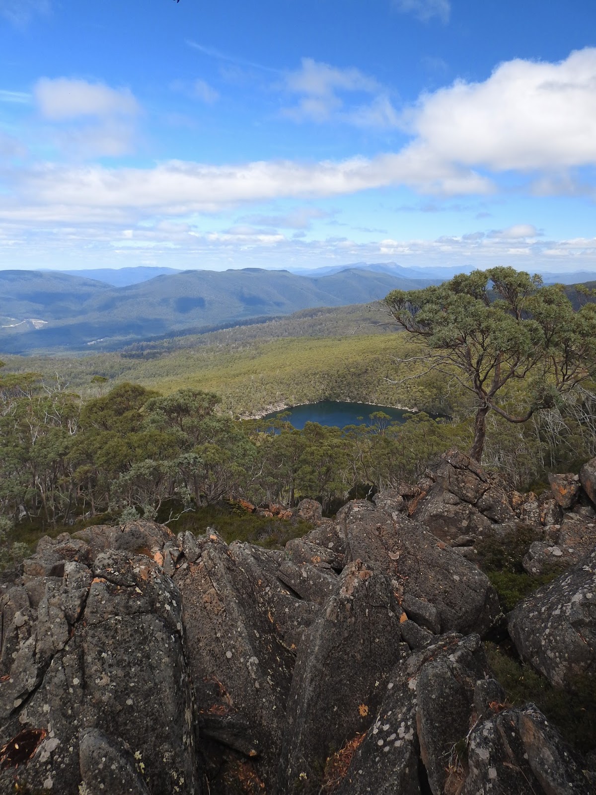 Les aventures de Juju et Nico en Australie: Mount Field National Park