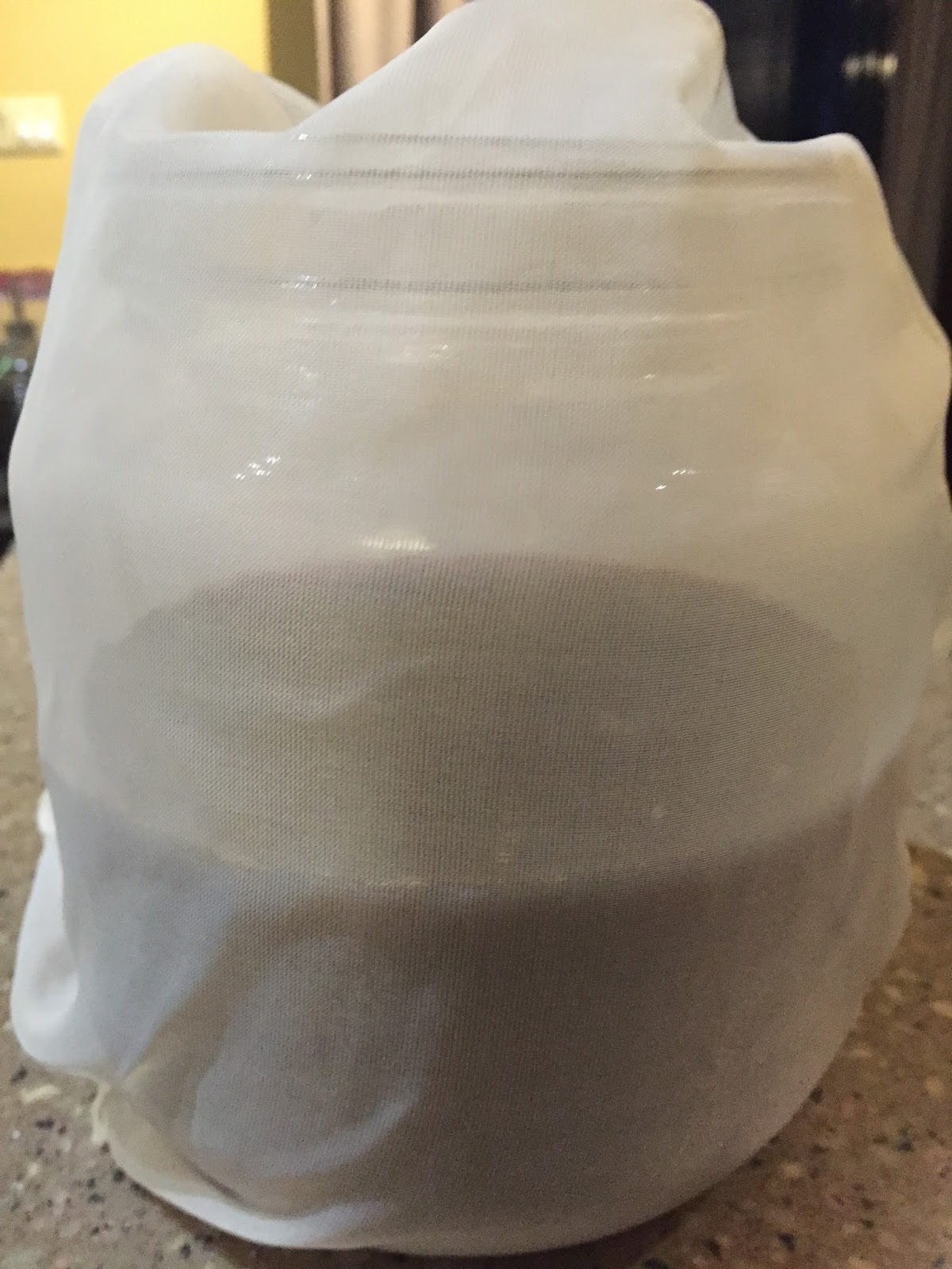 Tina's Adventures in Fermentation: Fermentationist Certification ...