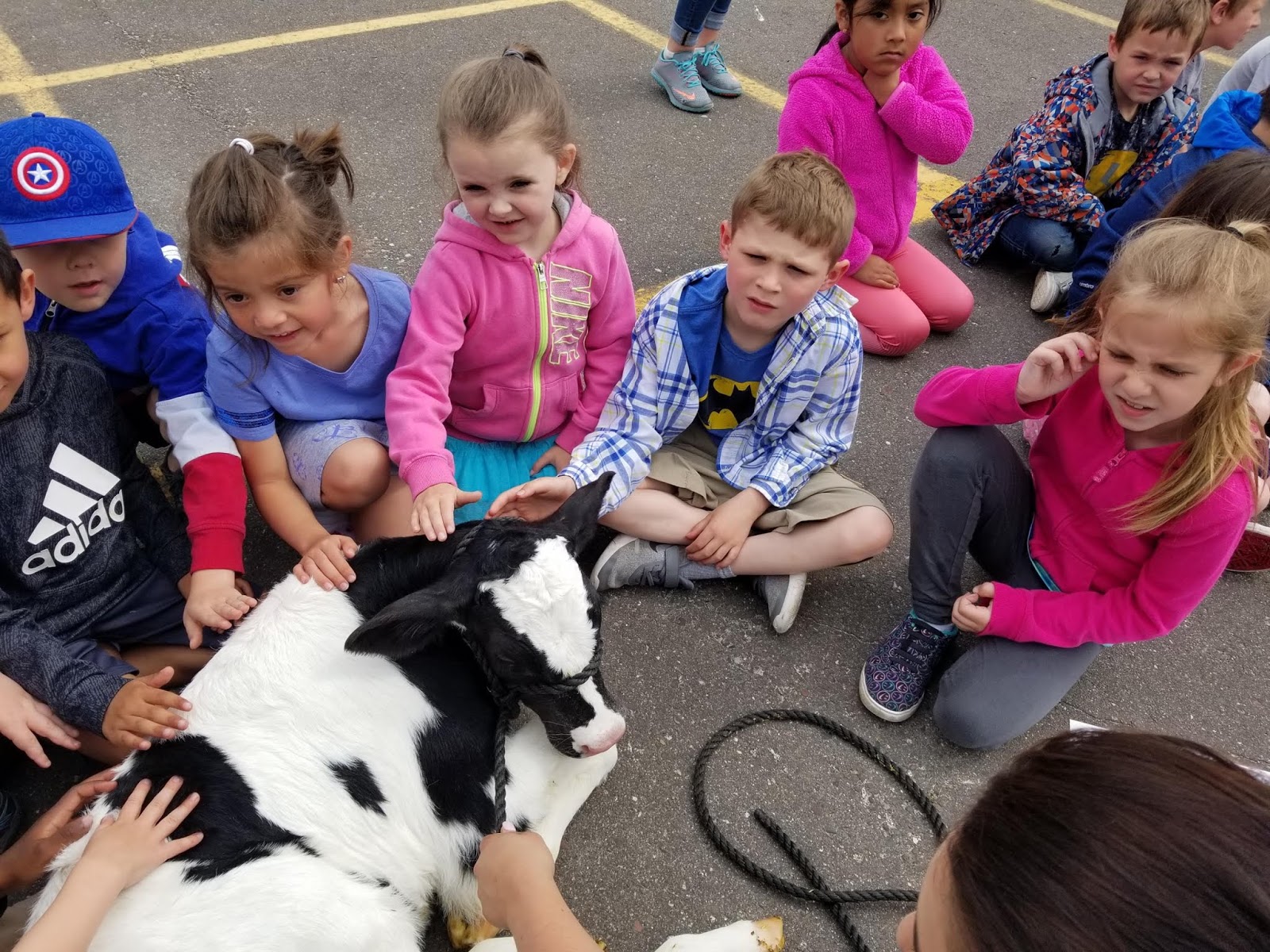 Life as a Kindergarten Student: FFA - Farm Animals Visit