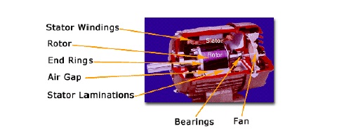 TYPES OF LOSSES IN ELECTRIC MOTOR OPERATION