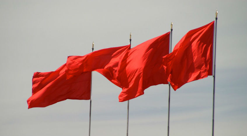 Pro Educational Toys: Child Development: Red Flags by Trisha Roberts Pro Educational Toys: Child Development: Red Flags by Trisha Roberts