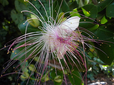 GODventureZ -- LIFE! through Pictures: VIUBANI -- Easter Holiday Picnic