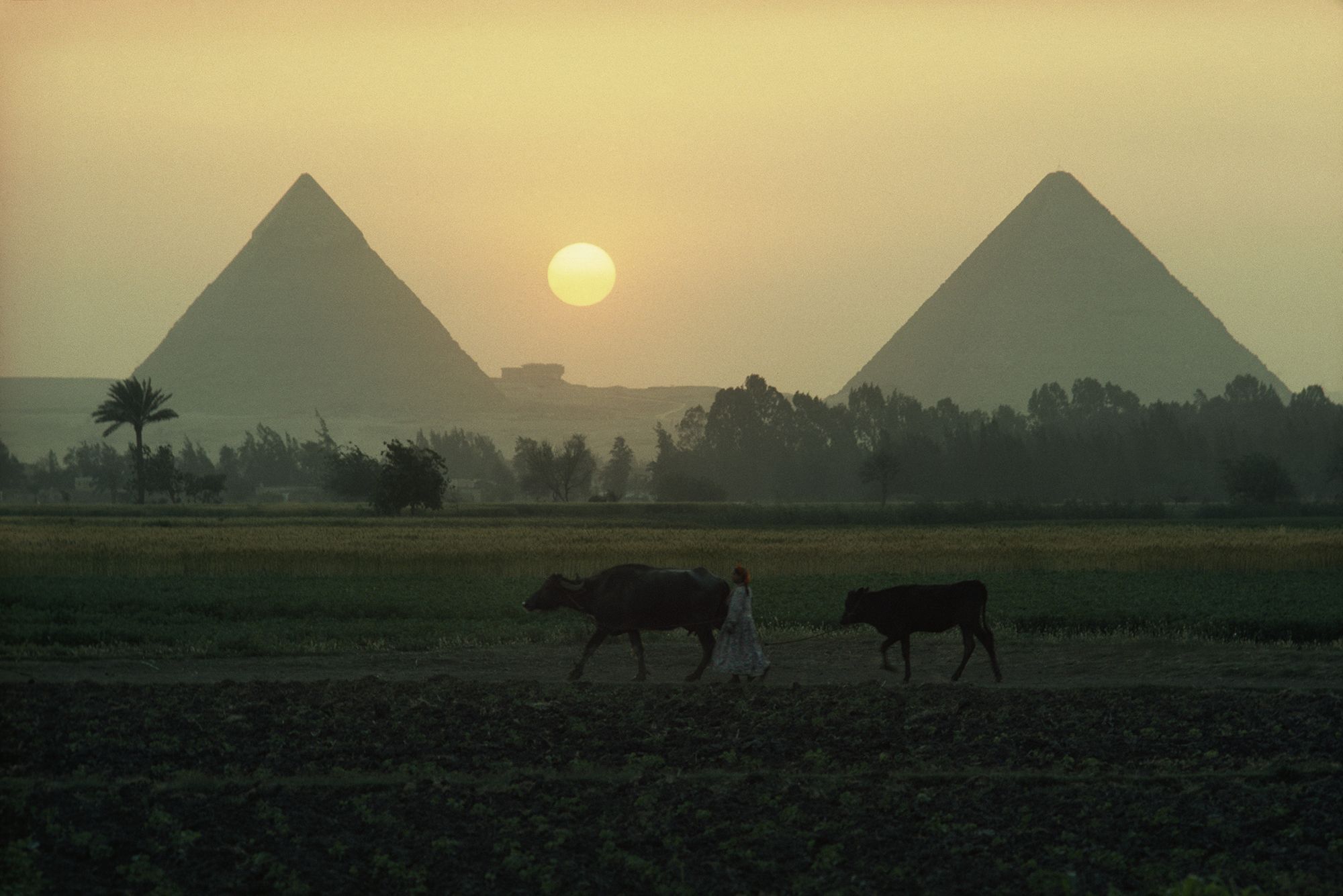 Great pyramid's dimensions match the planet Earth's ~ Have You Ever